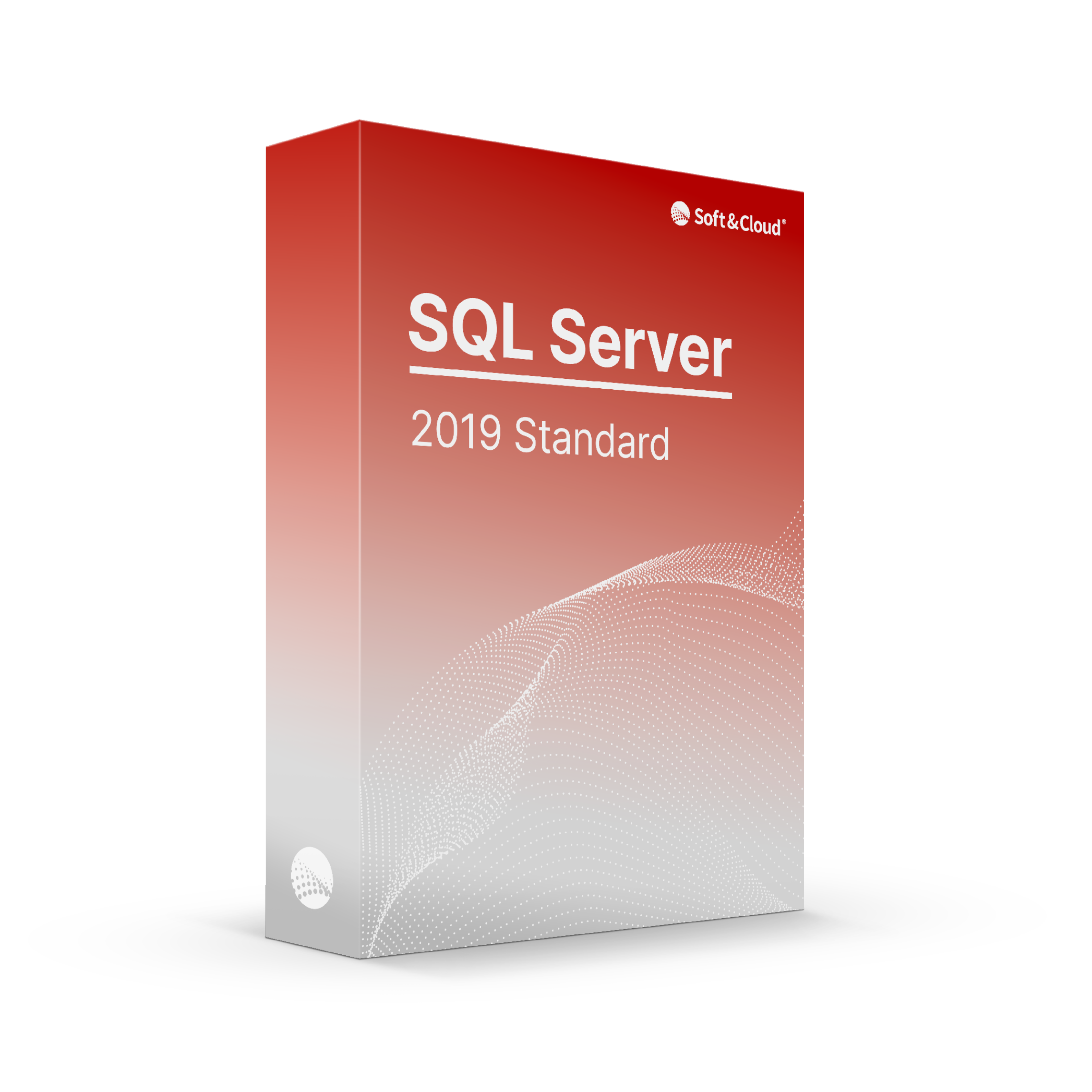 Microsoft SQL Server 2019 Standard usato
